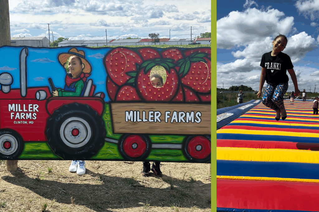Your Guide to the Best Farms to Visit This Fall Near DC - 4DMV Kids